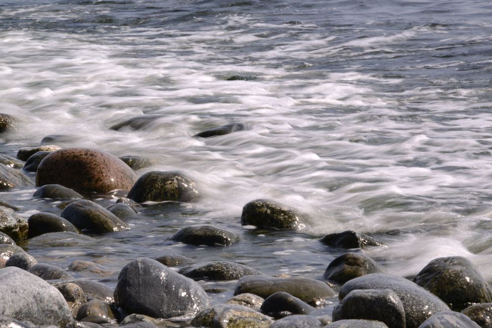 Ören med Torö stenstrand – Nynäshamns Naturskyddsförening