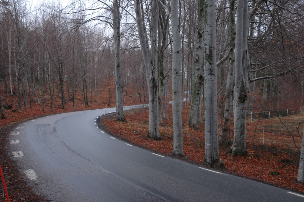 Ören med Torö stenstrand – Nynäshamns Naturskyddsförening
