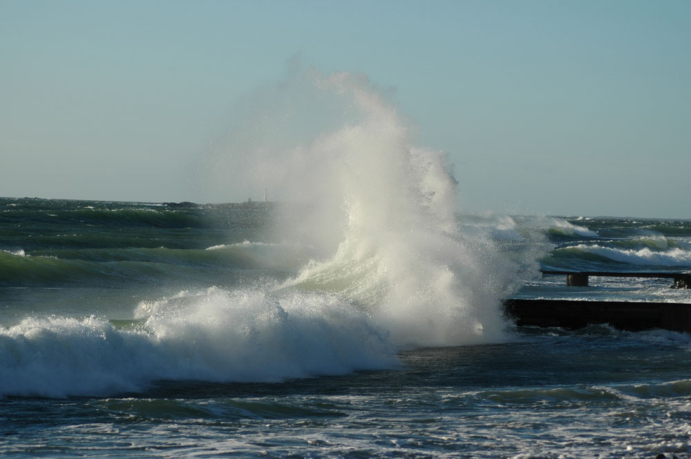 Ören med Torö stenstrand – Nynäshamns Naturskyddsförening