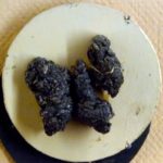 Igelkotten – Nynäshamns Naturskyddsförening